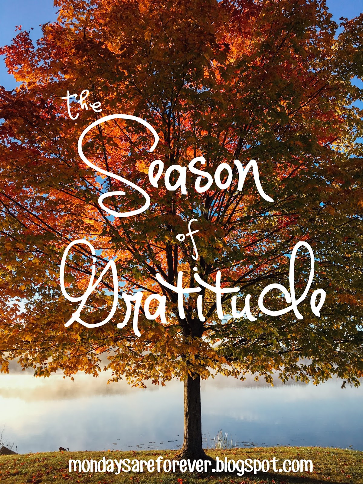 Mondays Are Forever: The Season of Gratitude