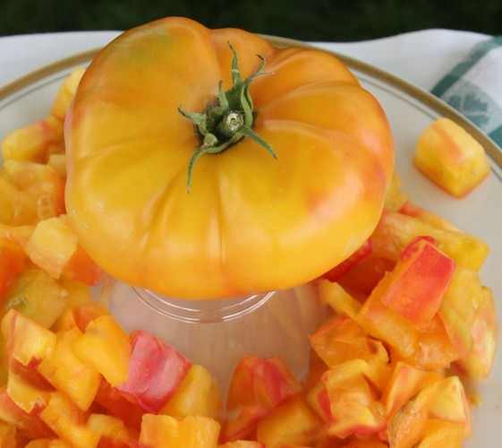 Dian Yang Tak Pernah Padam: 8 Jenis Tomat Raksasa Dengan Aneka Warna