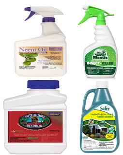 How To Choose And Determine Pesticides To Pests Control And Plant ...