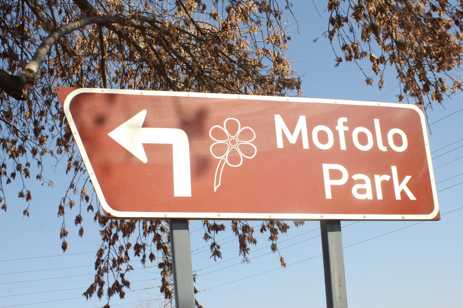 BLACKSHADOW ENTERTAINMENT: Mofolo Park Soweto June 16 Performance