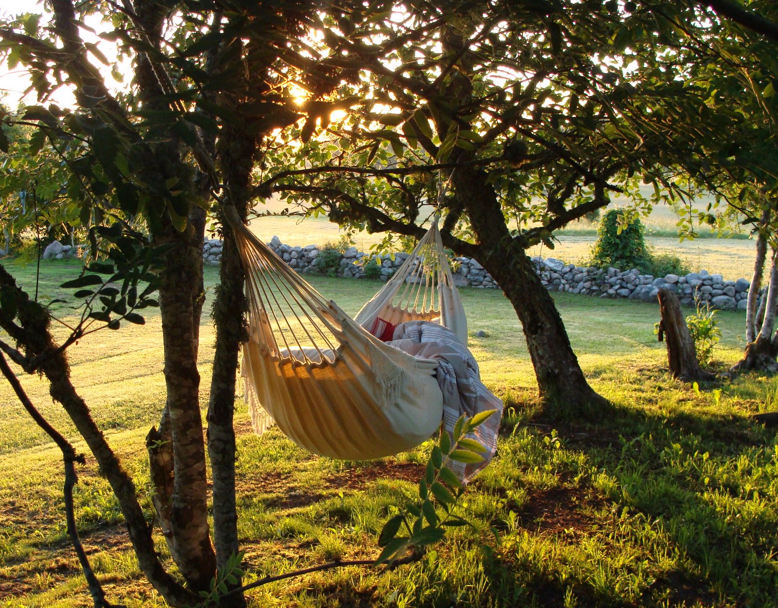 Livet på Tjuvesta: Alla borde ha en hängmatta