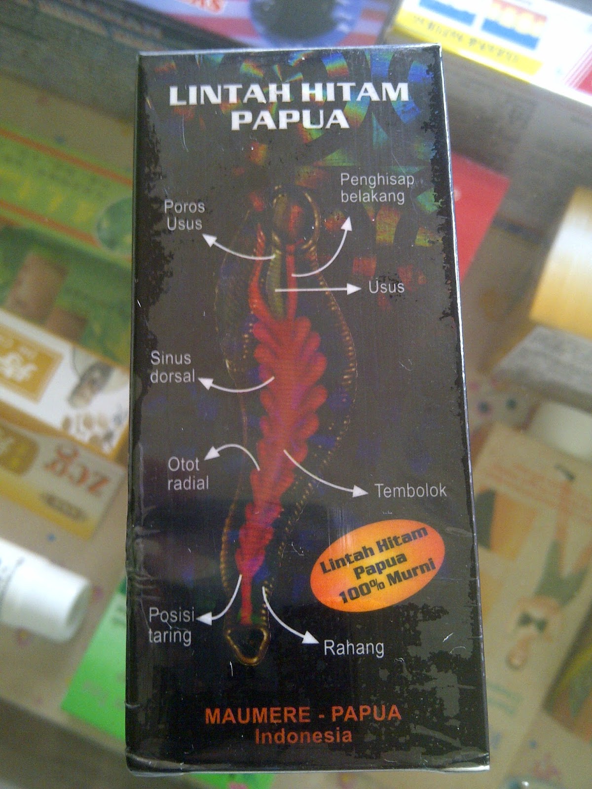 Lintah Hitam Papua Pembesar Kejantanan | Tips Dari Masrikun