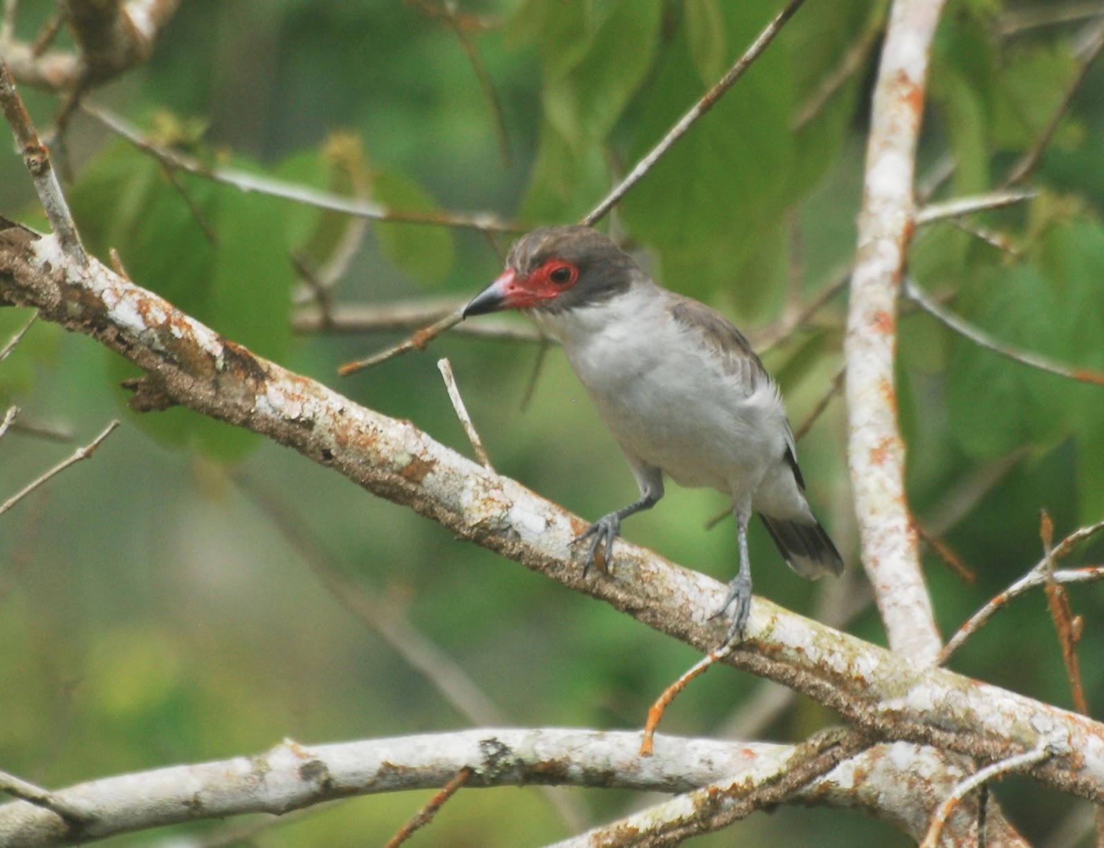 Jan Axel's Blog: March 2013