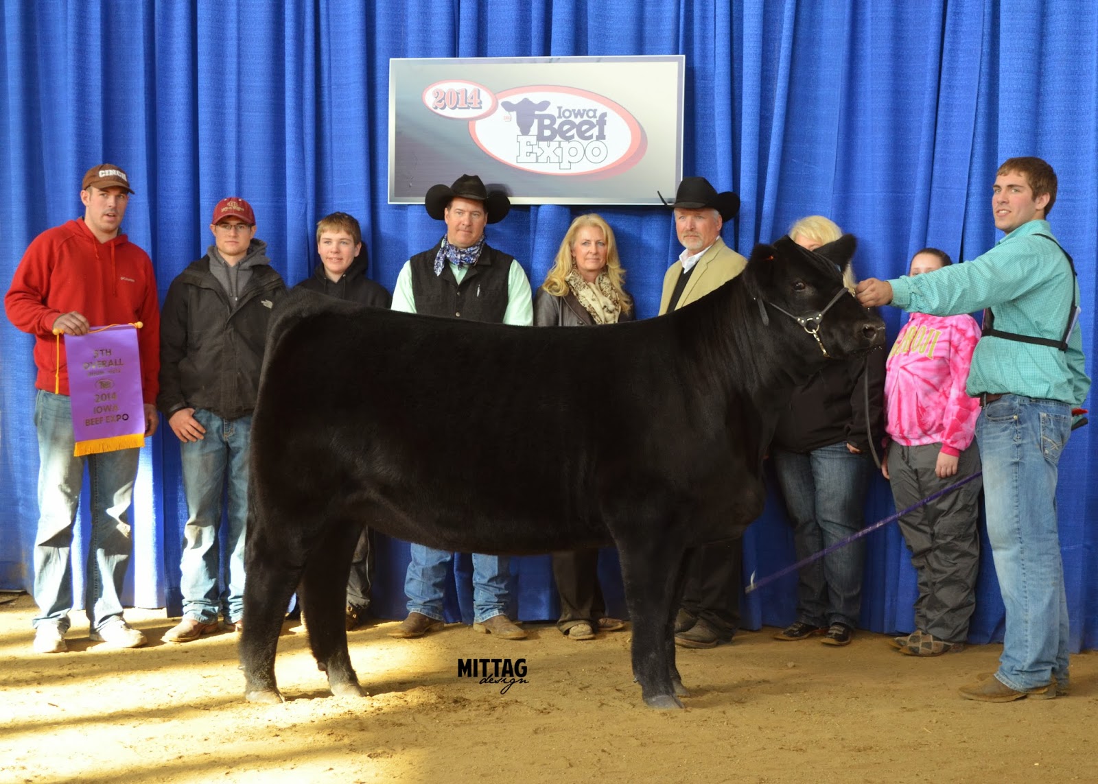 MITTAG Blog: IOWA BEEF EXPO TOP 5 BREEDING HEIFERS