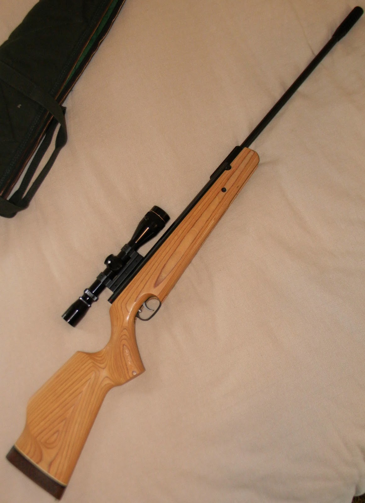 Another Airgun Blog: 2/24/13 - 3/3/13