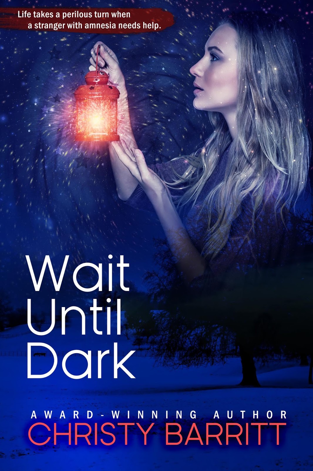 The Diamond Mine of Christian Fiction: Christy Barritt Shares about ... The Diamond Mine of Christian Fiction: Christy Barritt Shares about ...