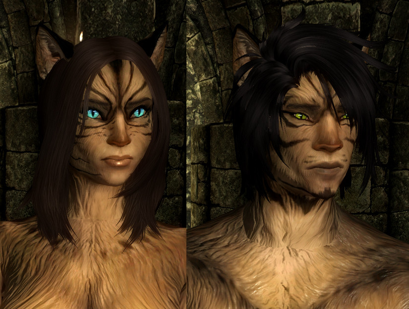 ST Wild: On Roleplaying: Fantasy Race: Beastfolk