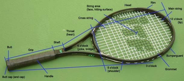 Sports Physiotherapy : Tennis Racquets