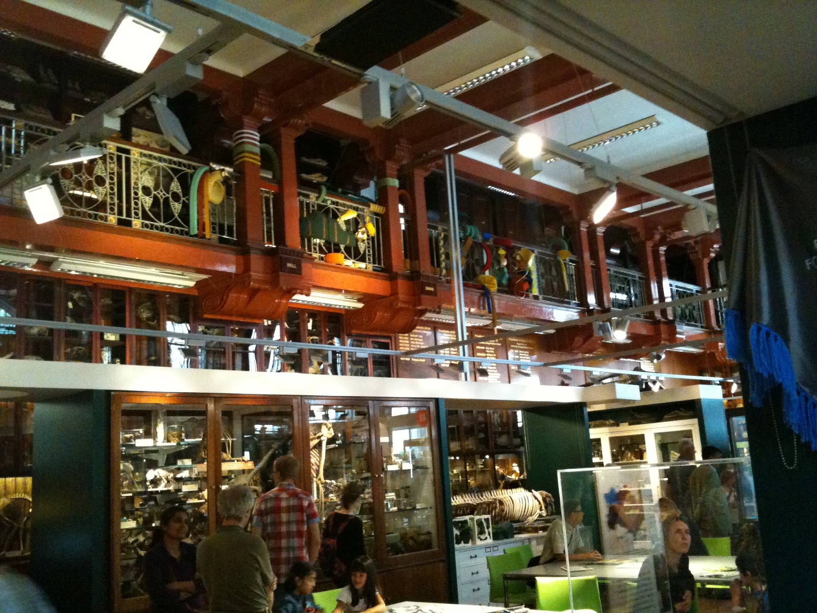 Positive Letters ... inspirational stories ...: Grant Museum of Zoology ...