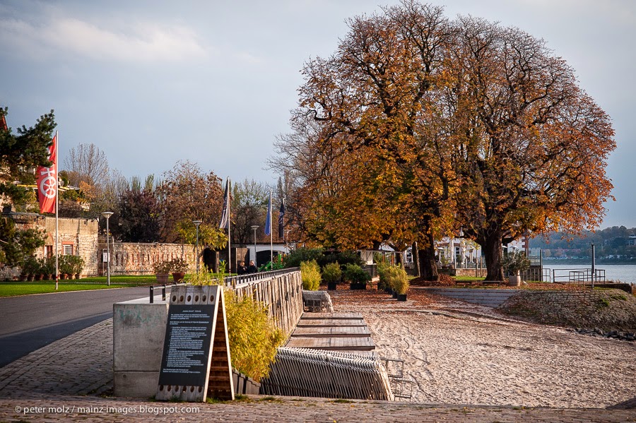 Mainz-Images: Herbstimpressionen - Mainz-Kasteler Rheinufer