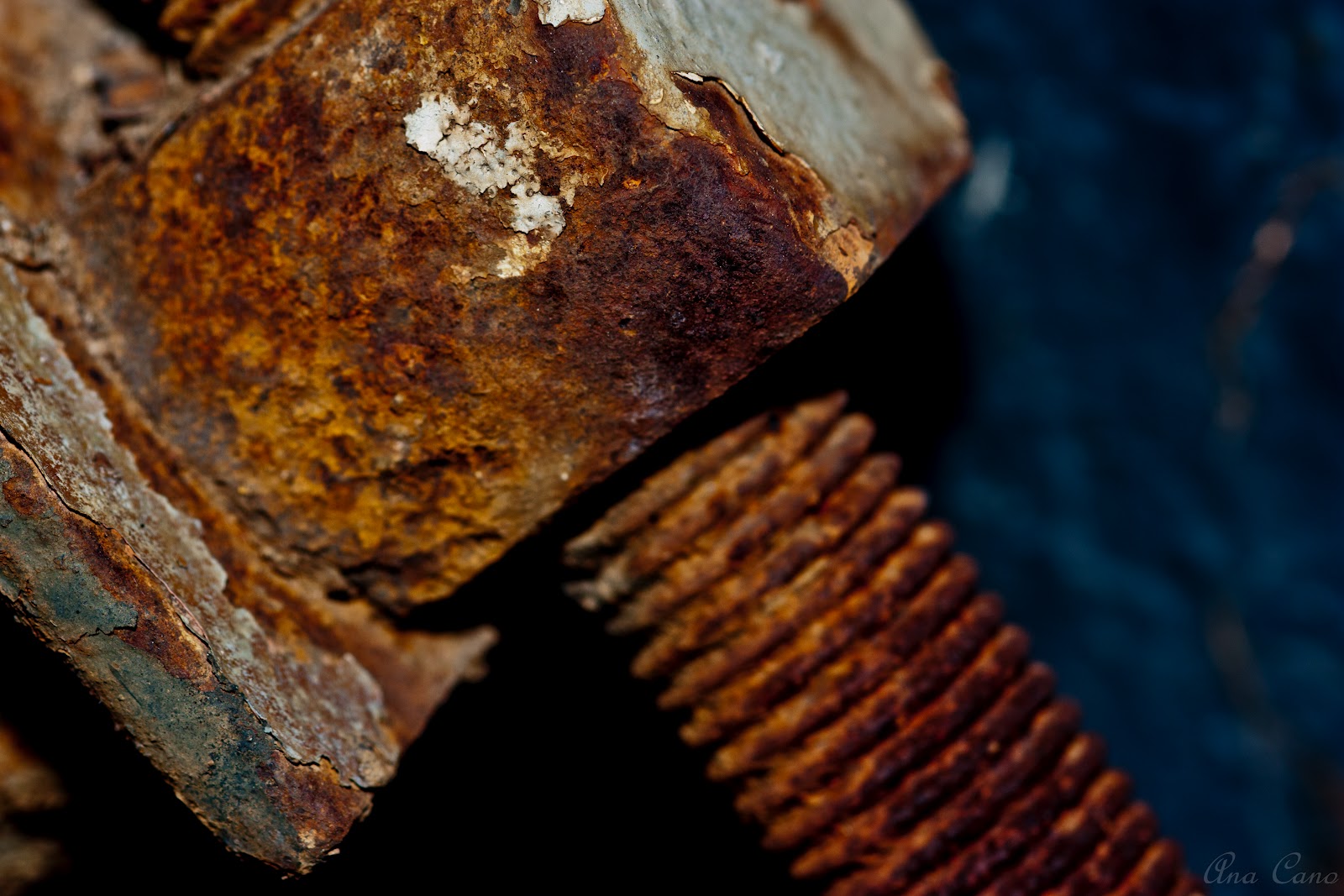 Fotografia, Ana Cano: Oxidado