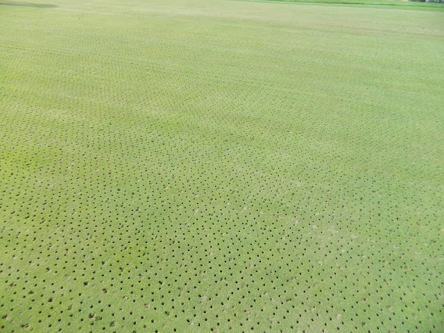 LGCC Golf Maintenance: Greens aerification complete
