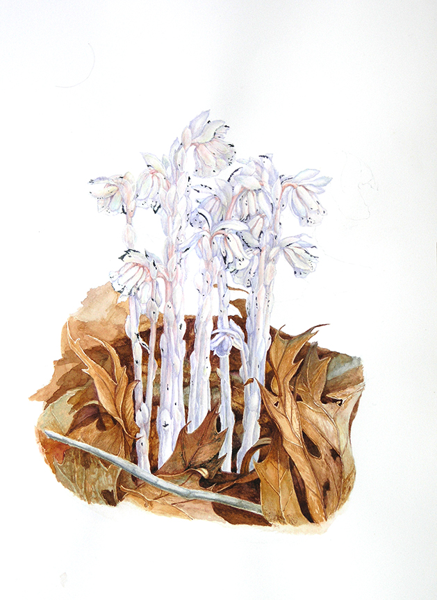 Maza Studio: Indian Pipe Painting