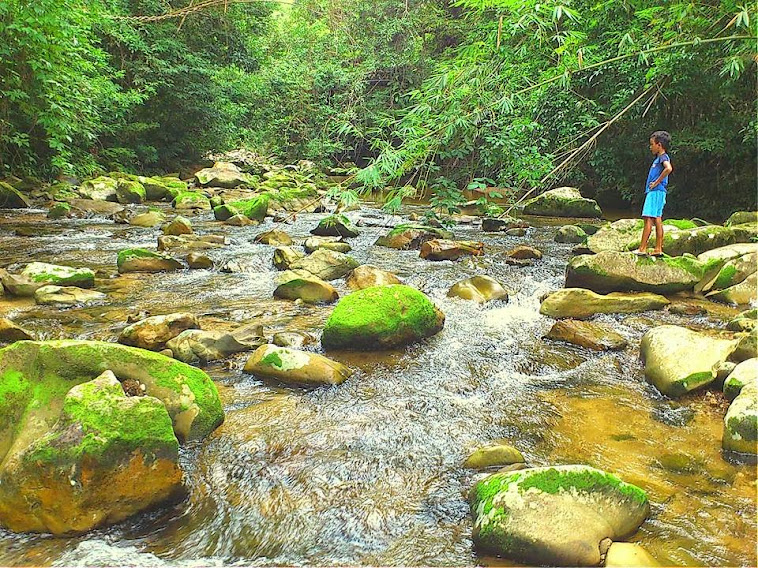 KAMPUNG TEPOI,TEBEDU,SERIAN,SARAWAK