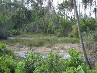 Babasiga: Kuta in Macuata