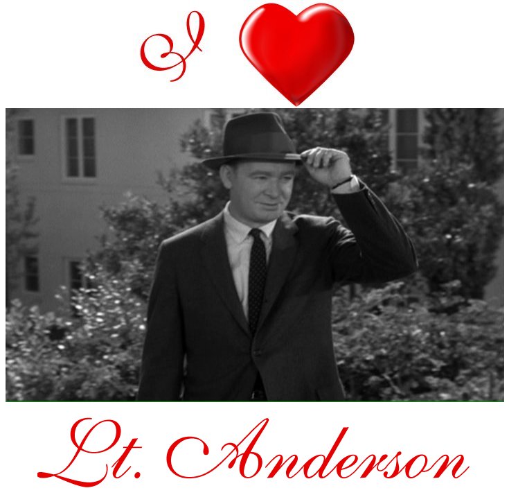 Objection Overruled: Confessions of a Twentysomething Perry Mason ...