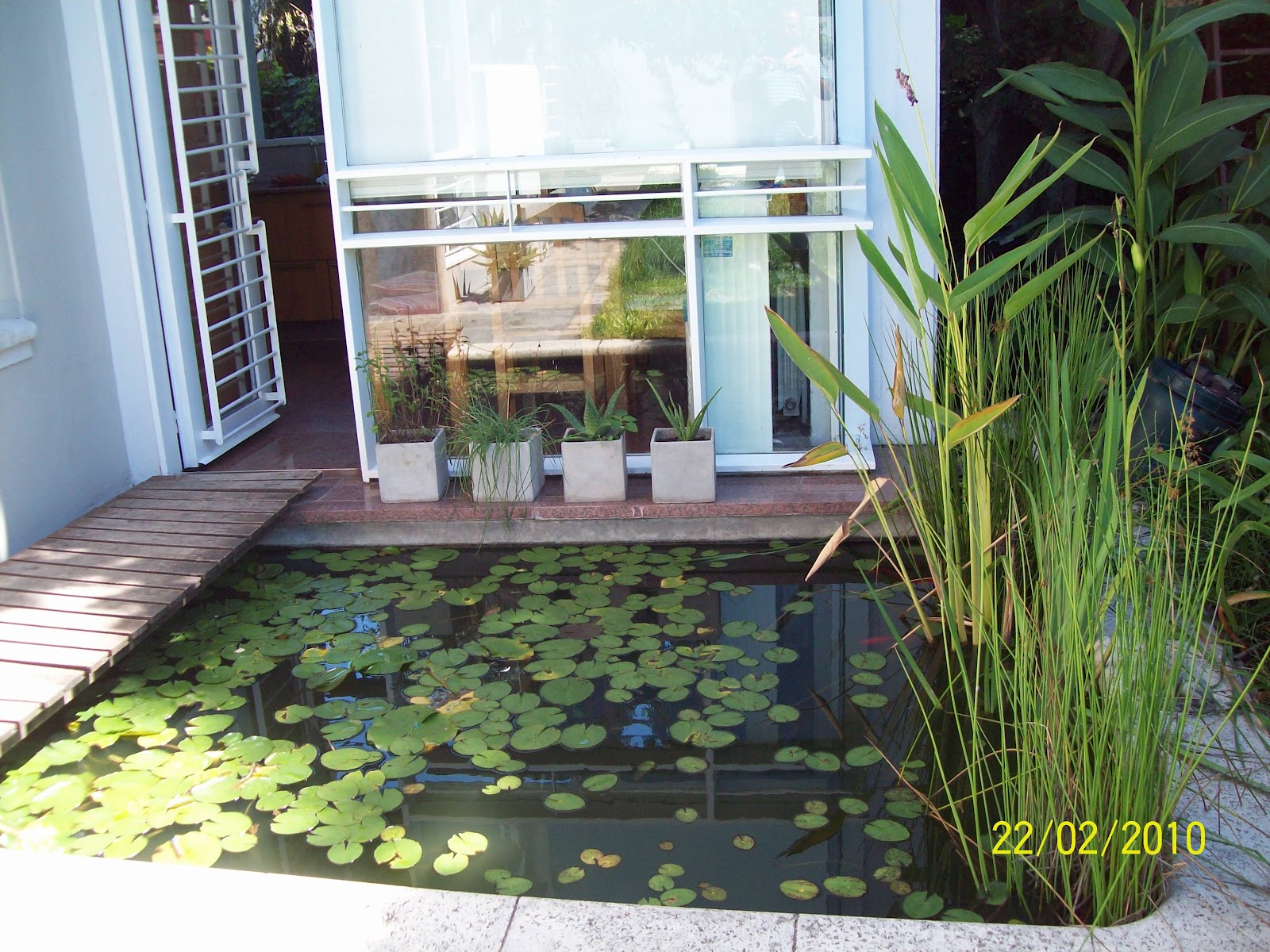 Grupo Calden diseño de exteriores e interiores: El fascinante mundo de ...