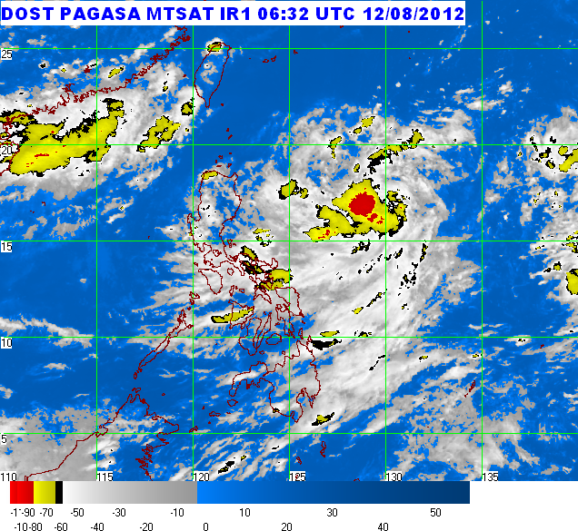 DISASTER RISK REDUCTION AND MANAGEMENT OFFICE BACOLOD CITY: August 12 ...