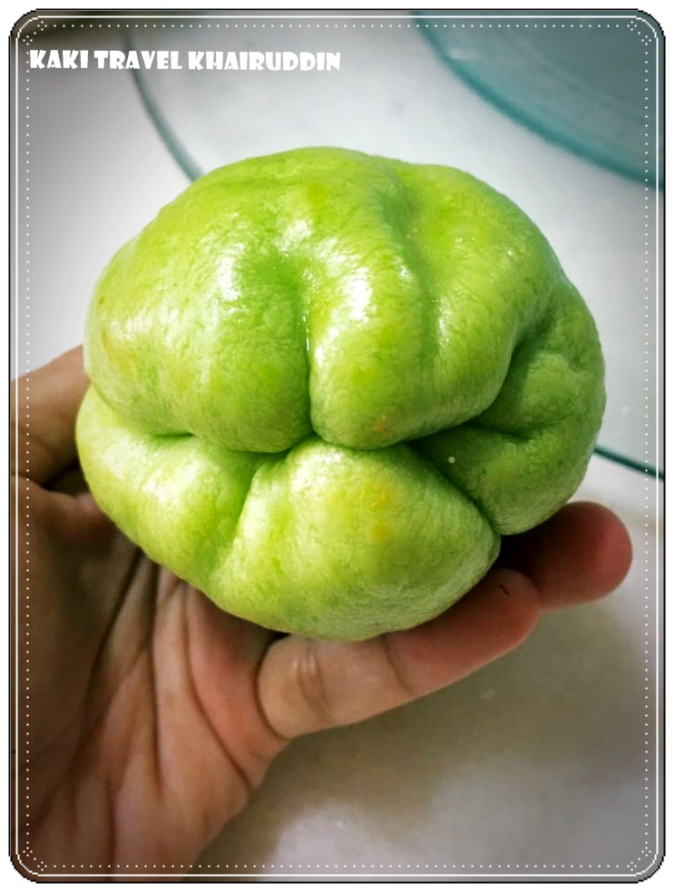 Kaki Travel: From Malaysia to the World with Khairuddin: Saya & Labu Siam