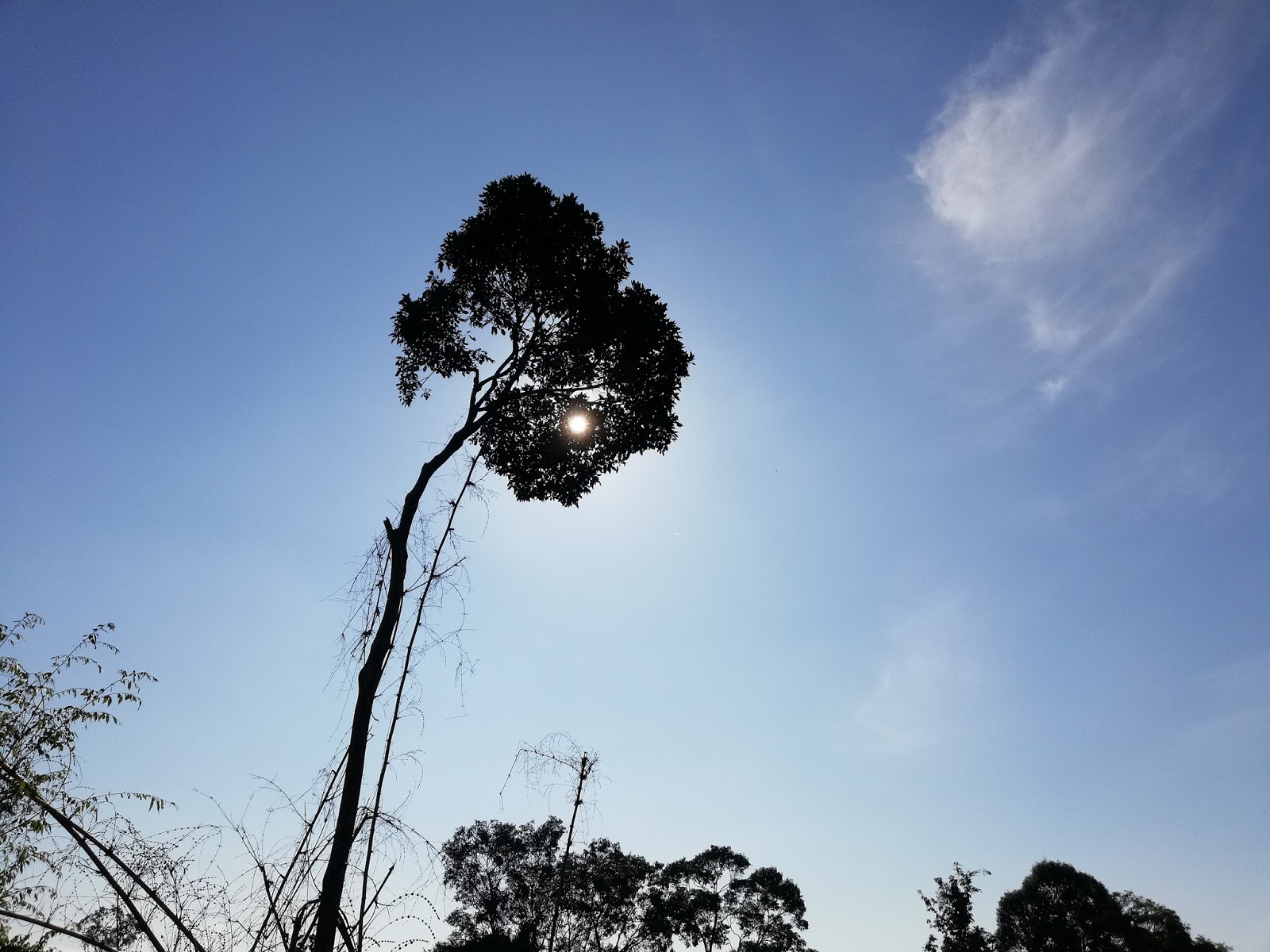 R U N N I N G: Bukit Chenuang & Batu Kumbang, Hulu Langat, Selangor
