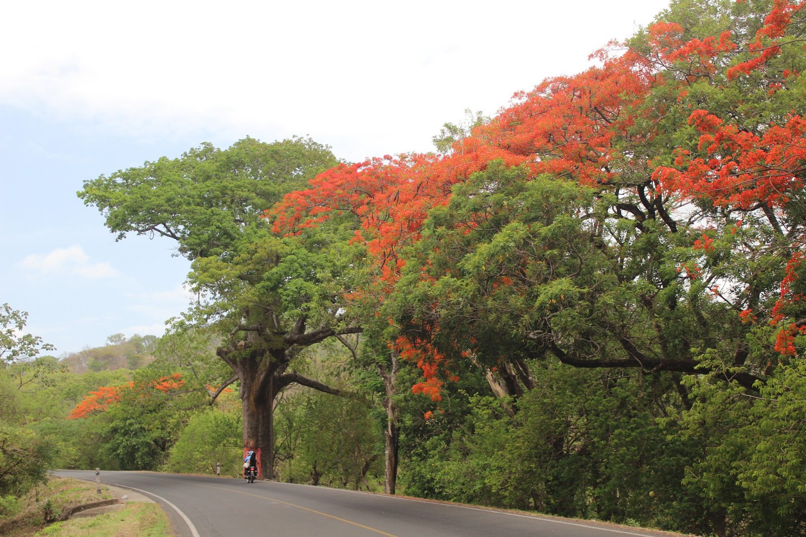 Vista Playa Madera: Trip to the North central Highlands of Nicaragua