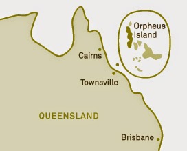 ROVIN RAVEN: ORPHEUS ISLAND QUEENSLAND