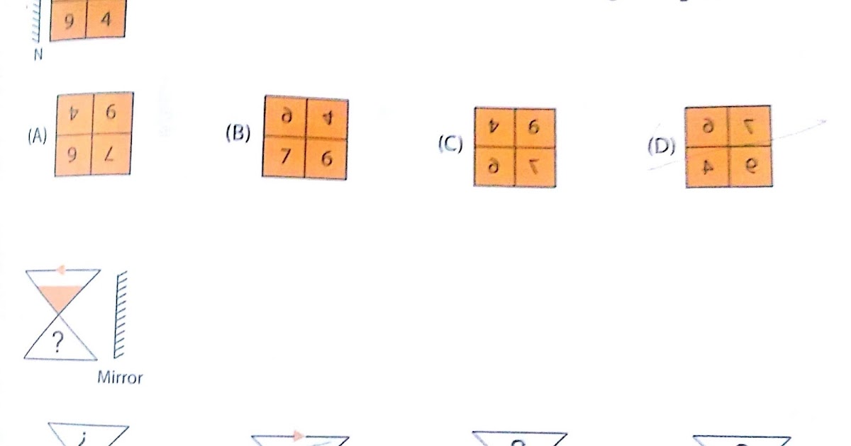 Mirror Image Puzzles