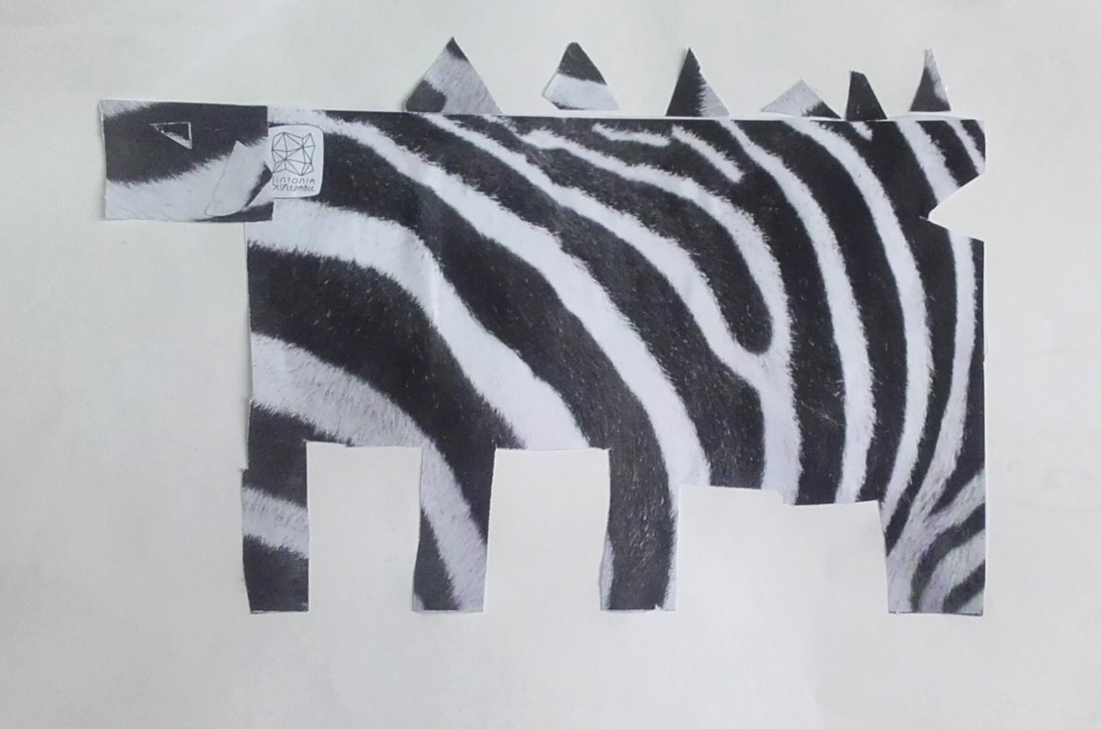 Sintonía Desplegable: TEXTURAS DE ANIMALES