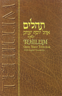 You Too Can Bring the Geula: Tehillim - Powerful