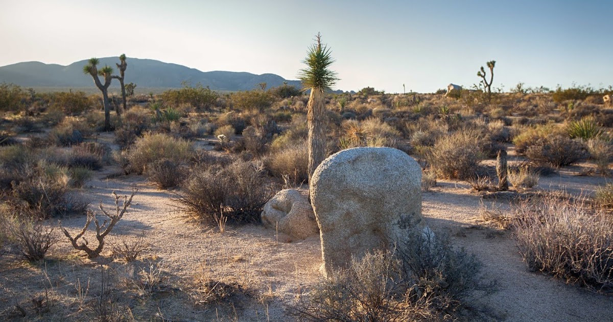 Spare Parts and Pics: Spooky Desert Things...