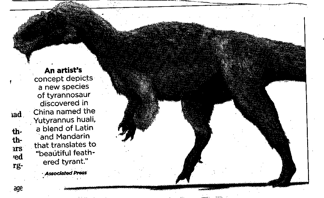 Dirigonzo's Place: T. rex was warm and fuzzy?