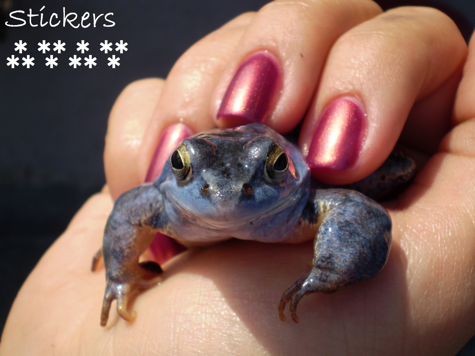 Nails, wanted!: Something different....