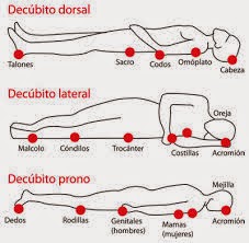 Enfermer@ en Urgencias y UCI : Posiciones Anatómicas