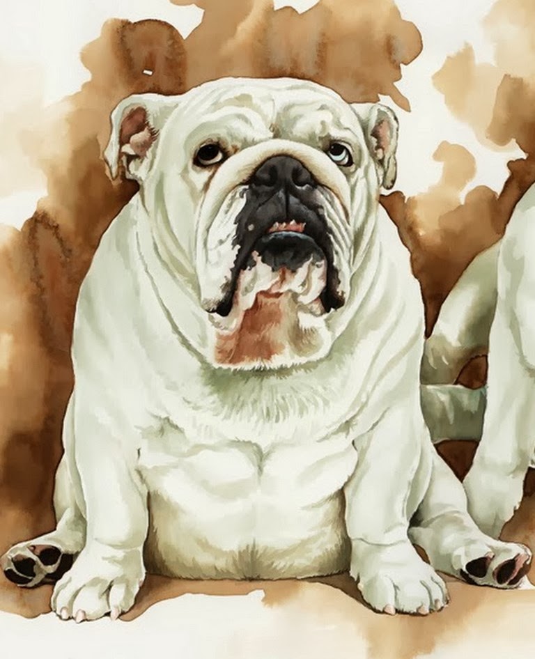 Arte y Actividad Cultural: Cuadros de Perros, Mascotas Pintadas ...