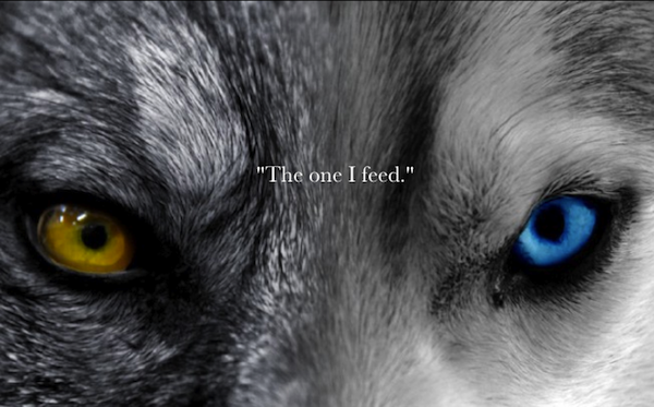 magicomaravilloso: The Two Wolves - A Cherokee Story
