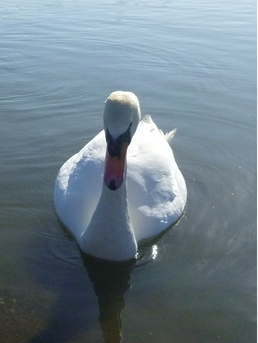 Mon année à Paris et plus: Un week-end a Londre et 5 jours a Marrakech