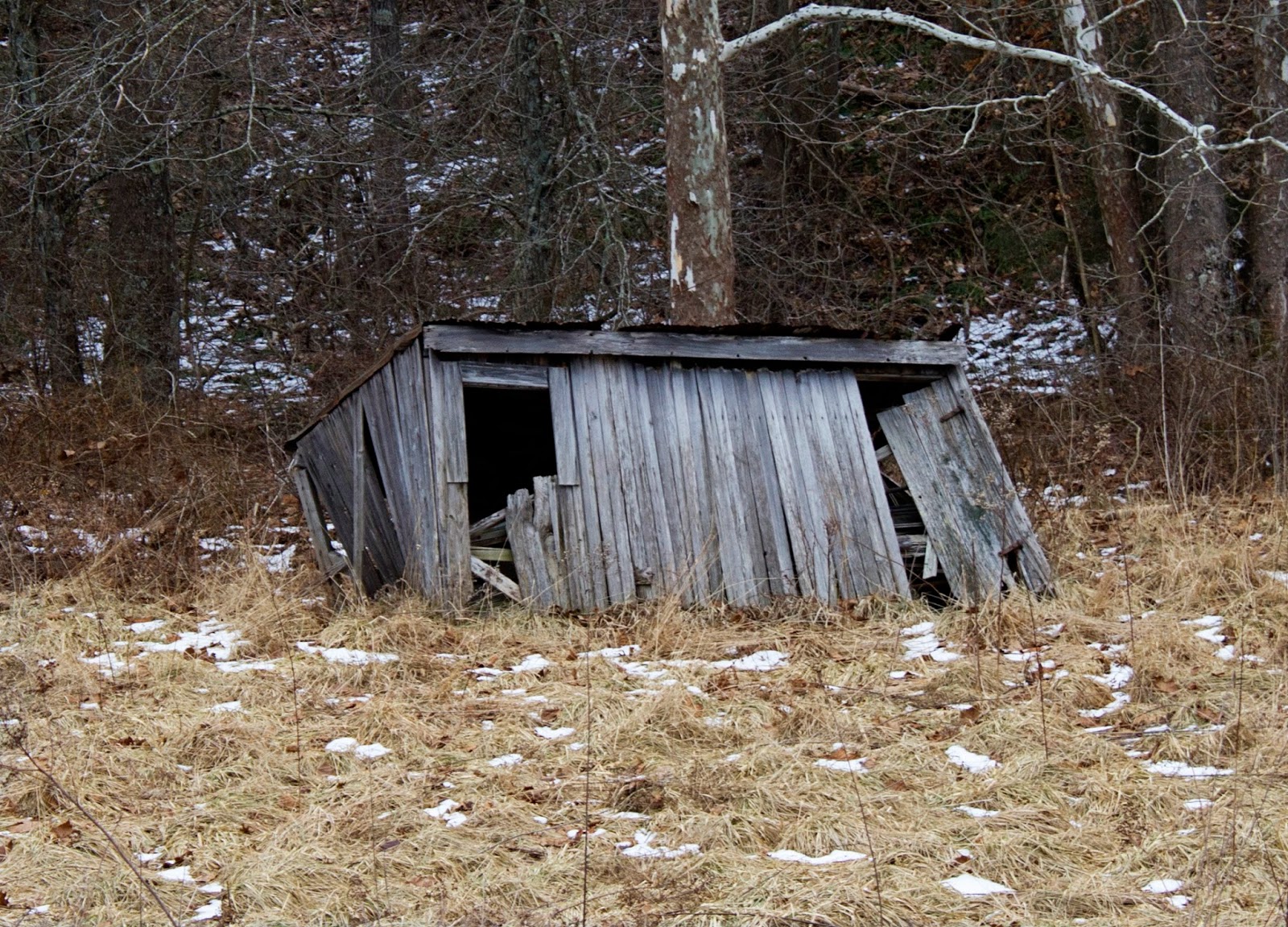 Rurification | Robin Edmundson: Shed in Field