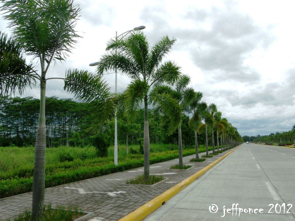 Bisayang Manlalakbay around the Philippines: It's All About Tagum City ...