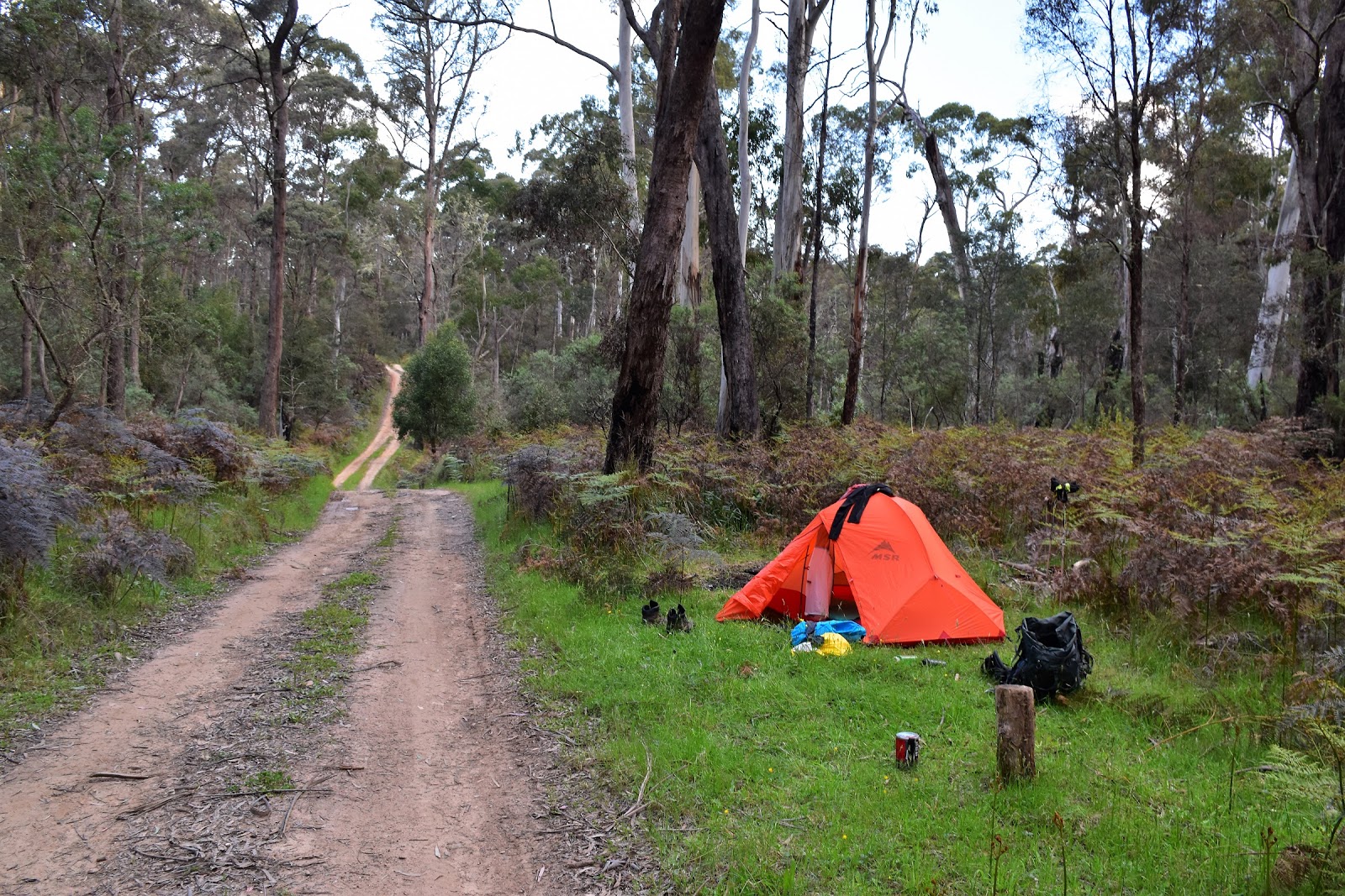 Goin' Feral One Day At A Time: Mt Wills to Four Mile Creek, AAWT ...