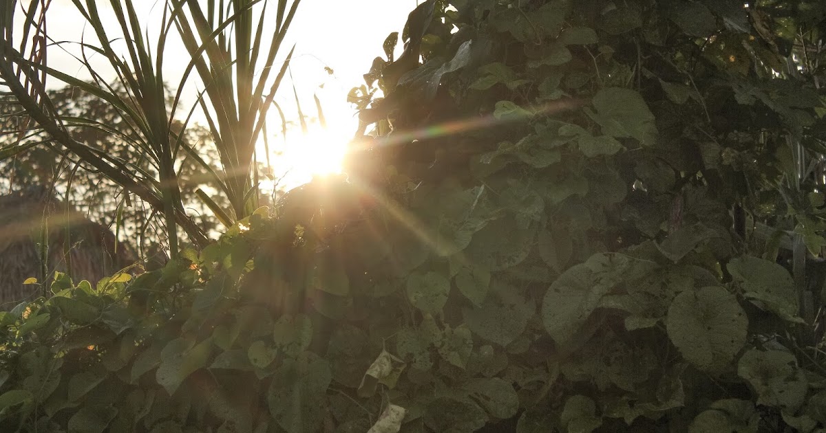 Bible Lessons From The Outdoors: Christian Outdoor Object Lesson 34 ...