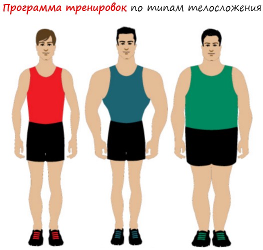 The training program for every body type. Part №1. - Body Building Online