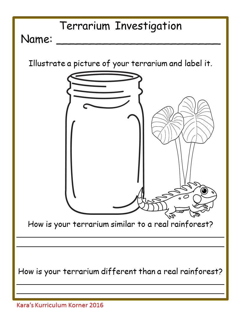 Create Your Balance With Literacy: 06/18/16