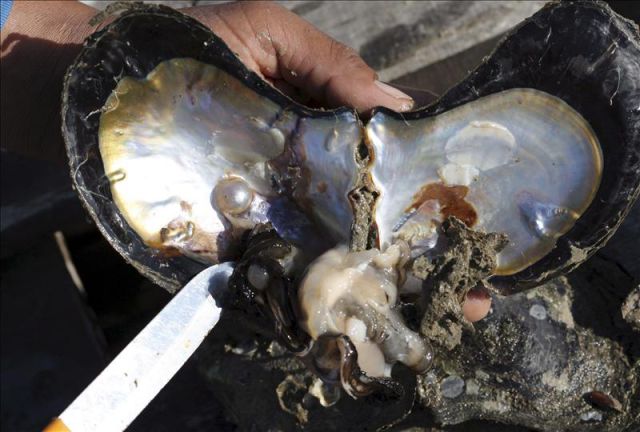 El Gozo de la Cruz. Estudios Biblicos: septiembre 2013