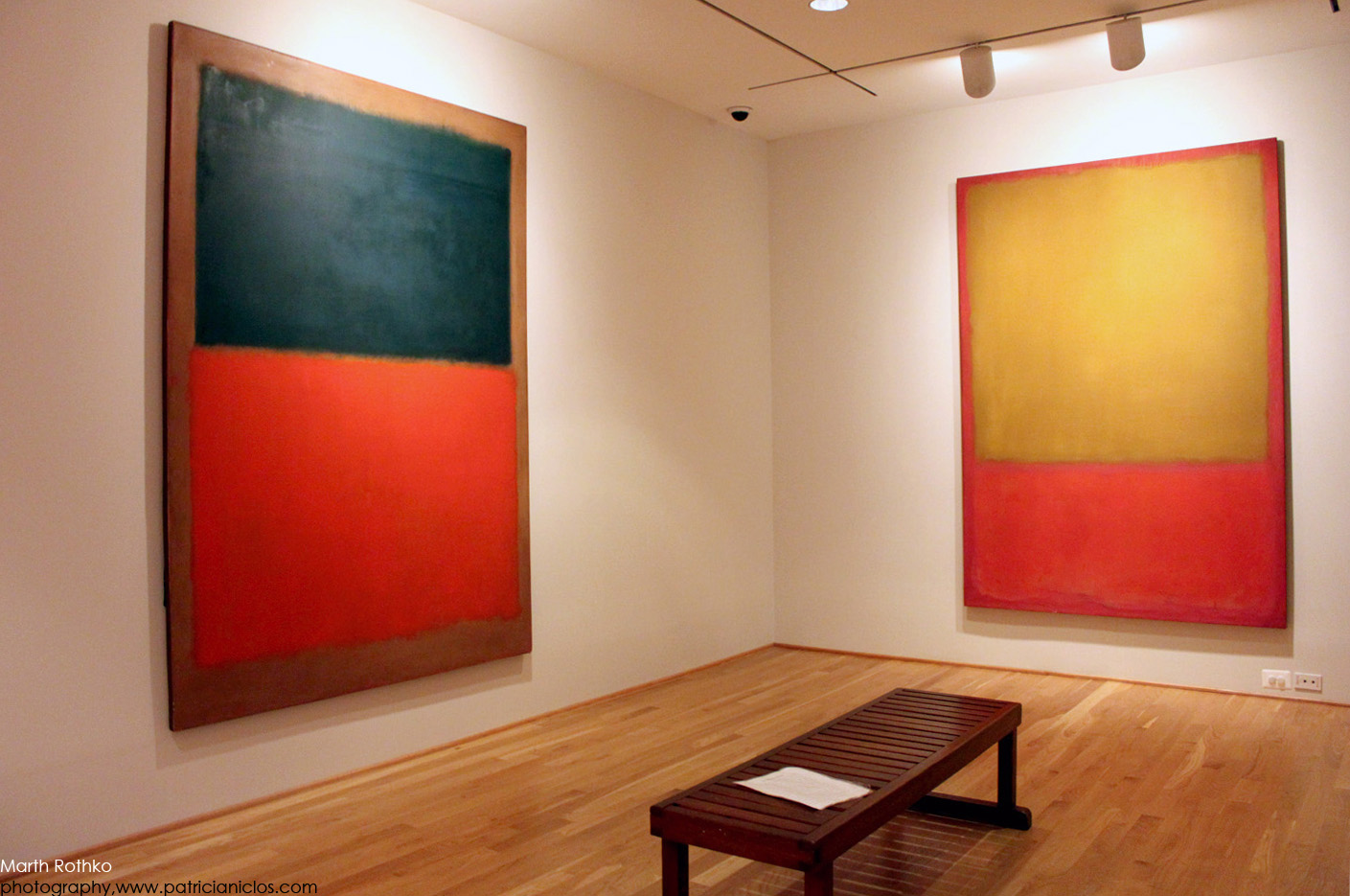 WALLS and WALKS: The Phillips Collection, Washington D.C. (USA)