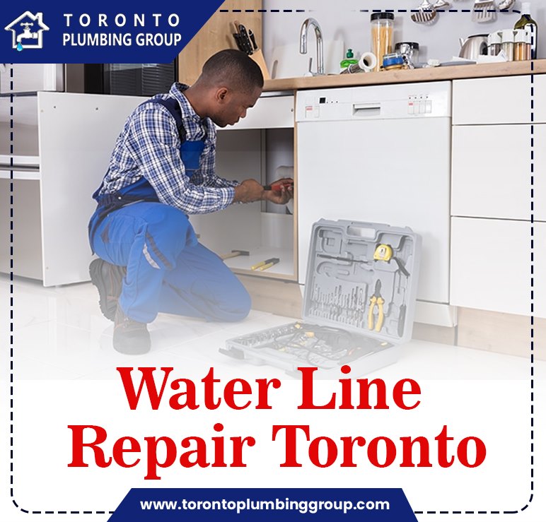 Toronto Plumbing Group | Plumbing Contractors, clogged, Basement ...