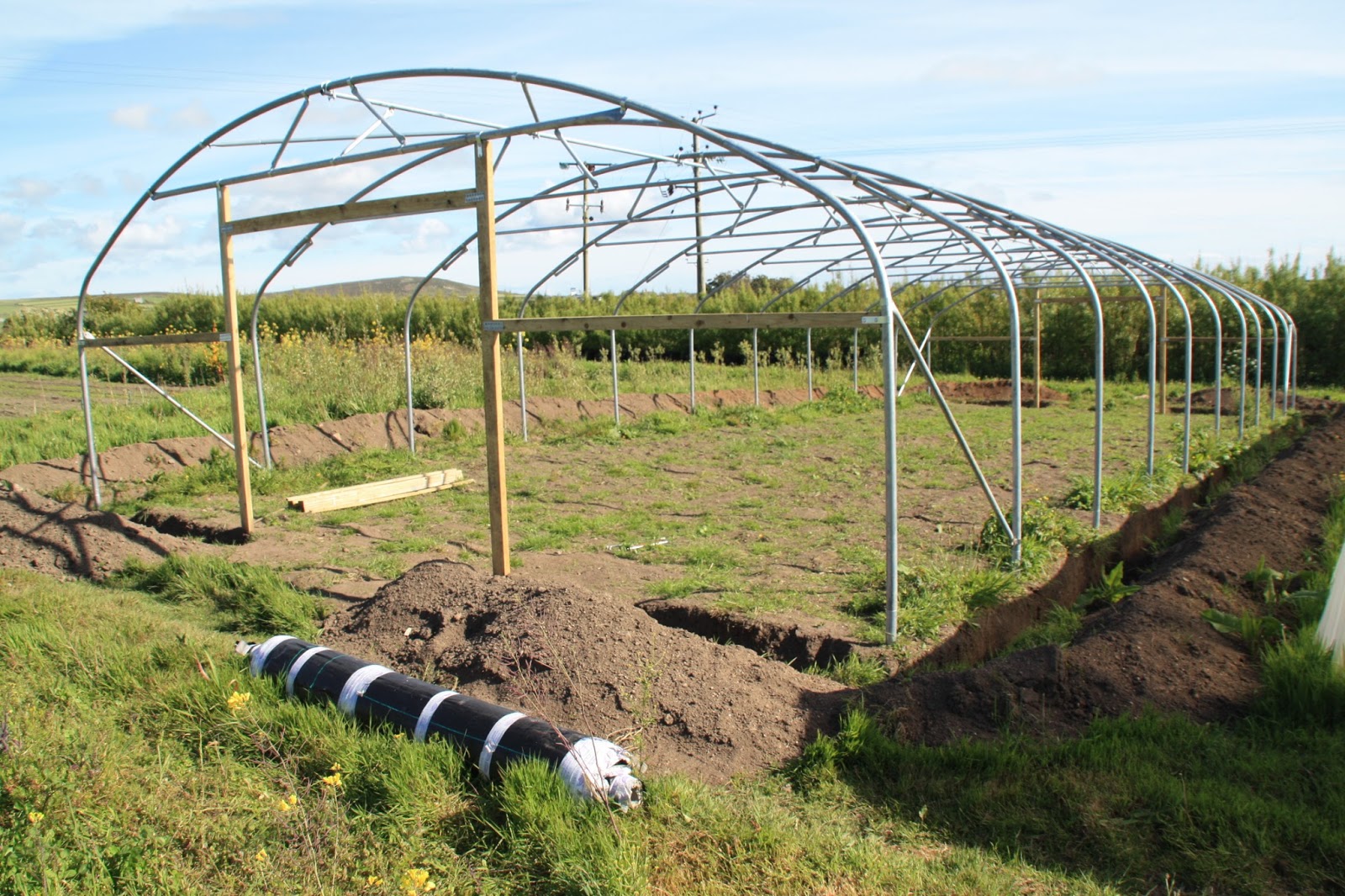 Bosavern Community Farm: Sixth polytunnel.