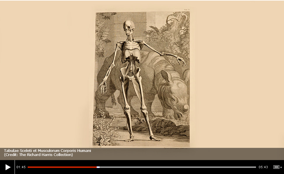 Arq. Myriam Mahiques´art: From " The strange art of death"