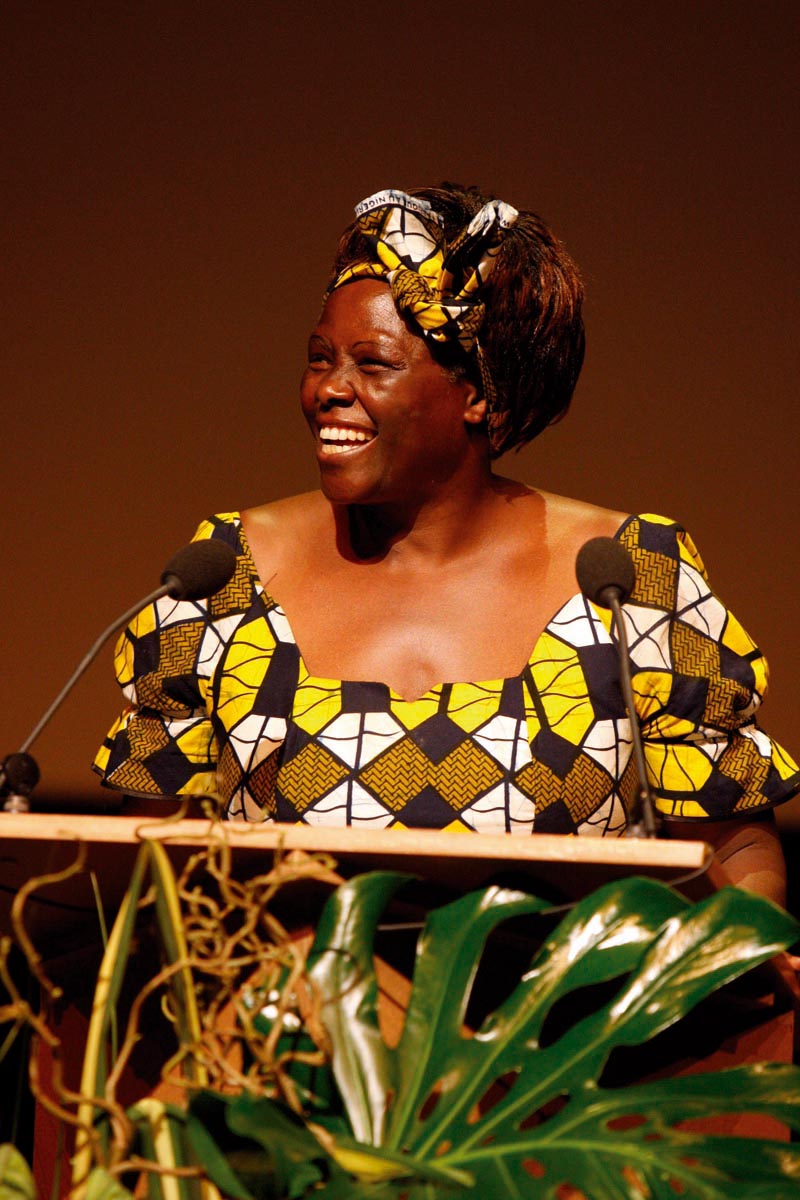 I Was Here.: Wangari Maathai