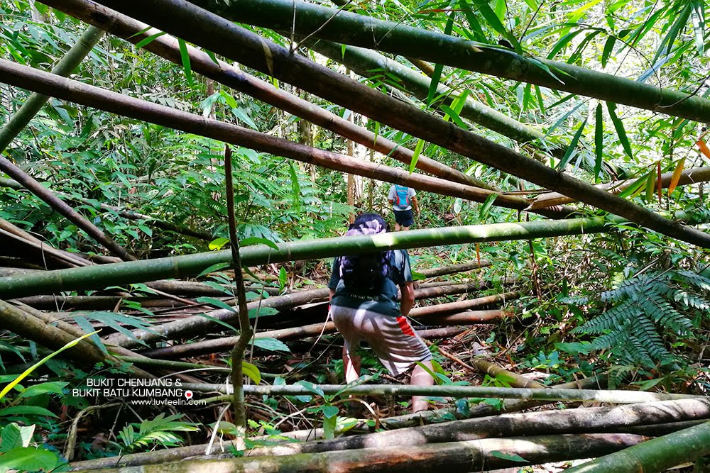 Trans Bukit Chenuang + Batu Kumbang 跨越双峰拥抱 180 度完美视野 - 乐飞翎 ♥ LUVFEELIN