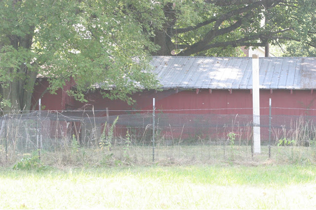 A Fly on Our (Chicken Coop) Wall: A Redneck, Fake Farmer's Guide to ...